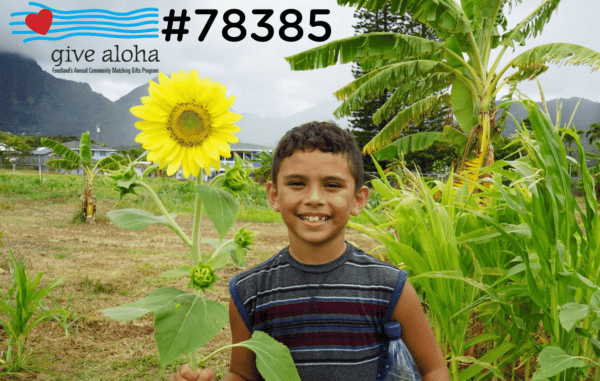 Give Aloha to PIDF | Partners in Development Foundation