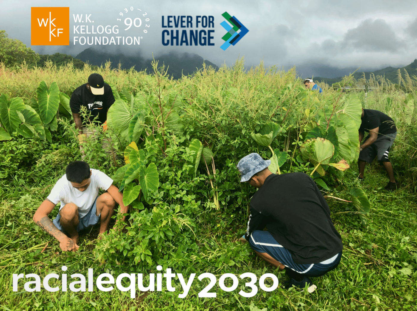 Partners in Development Foundation