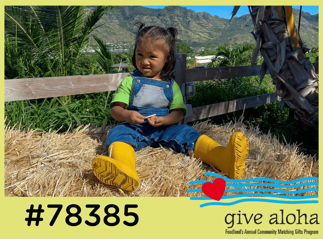 Give Aloha (1080 × 800 Px) (1) | Partners in Development Foundation