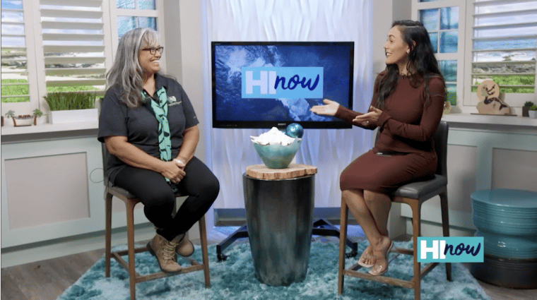 Partners in Development Foundation, serving Hawaiʻi’s families for 25 ...