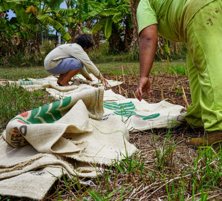 Partners in Development Foundation