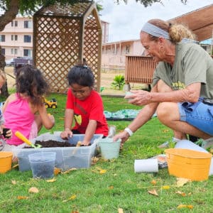 Partners in Development Foundation