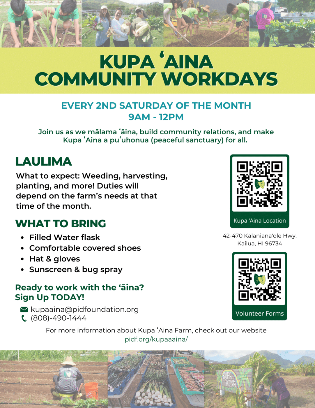 Kupa ʻAina Community Workday | Partners in Development Foundation