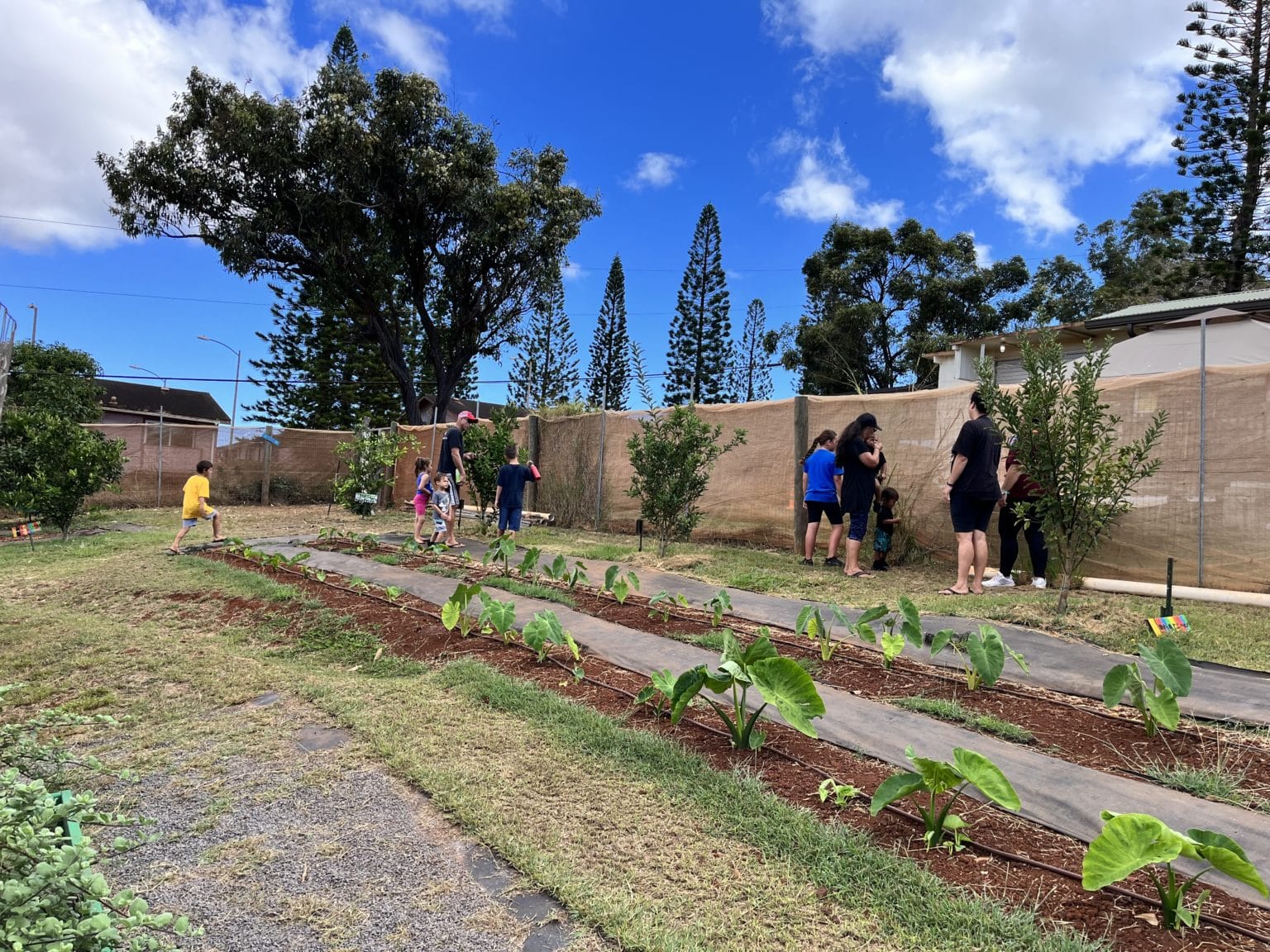 Partners in Development Foundation