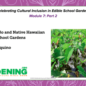 Partners in Development Foundation